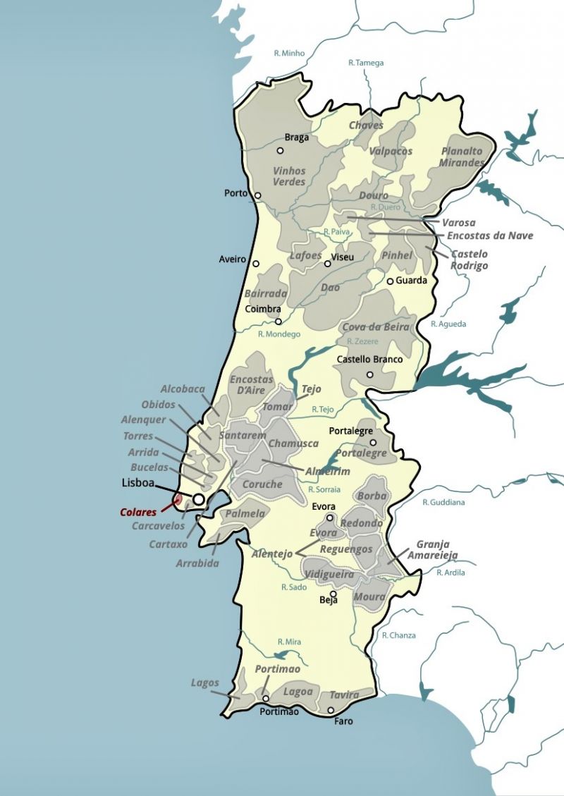 Adega Regional de Colares, Colares - Clark Foyster Wines