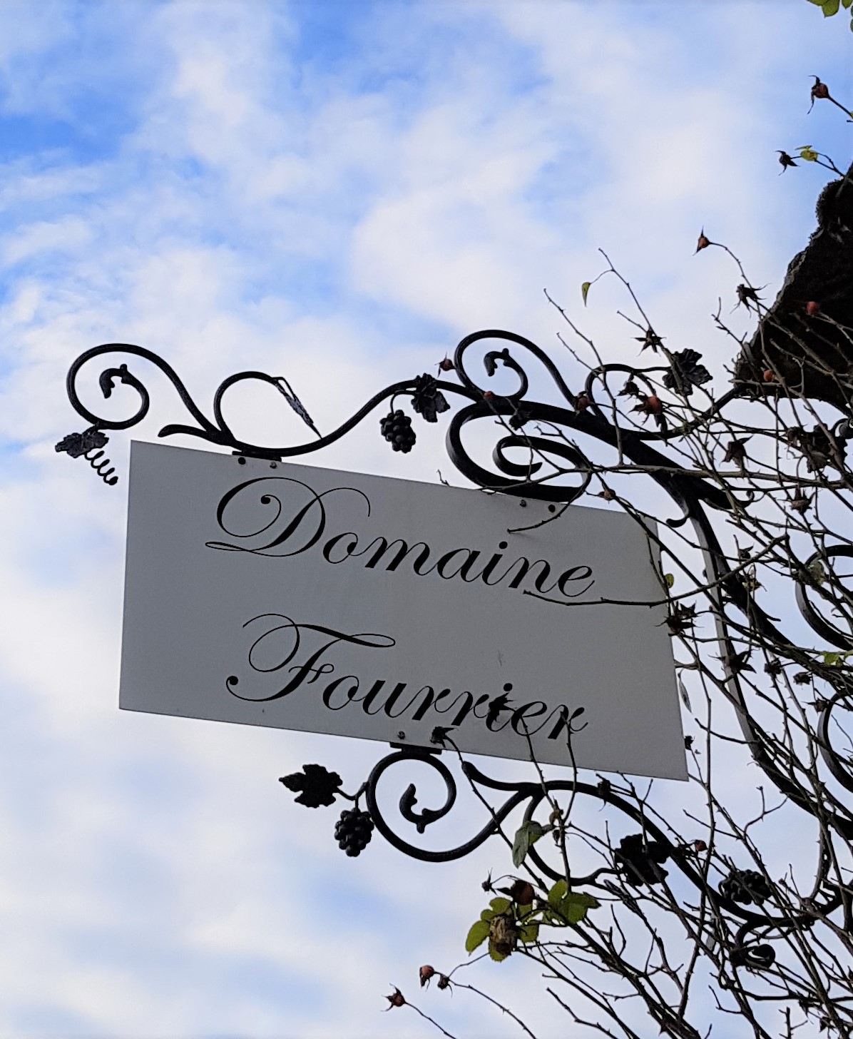 Domaine Fourrier, Gevrey Chambertin – Clark Foyster Wines